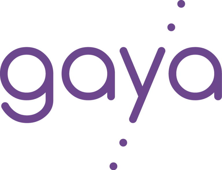 LOGO-GAYA-2017 | Gaya
